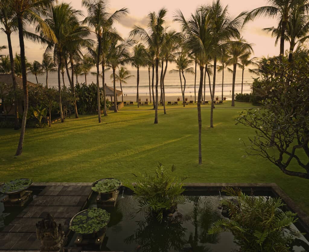 Chandi Bali – City Nomads