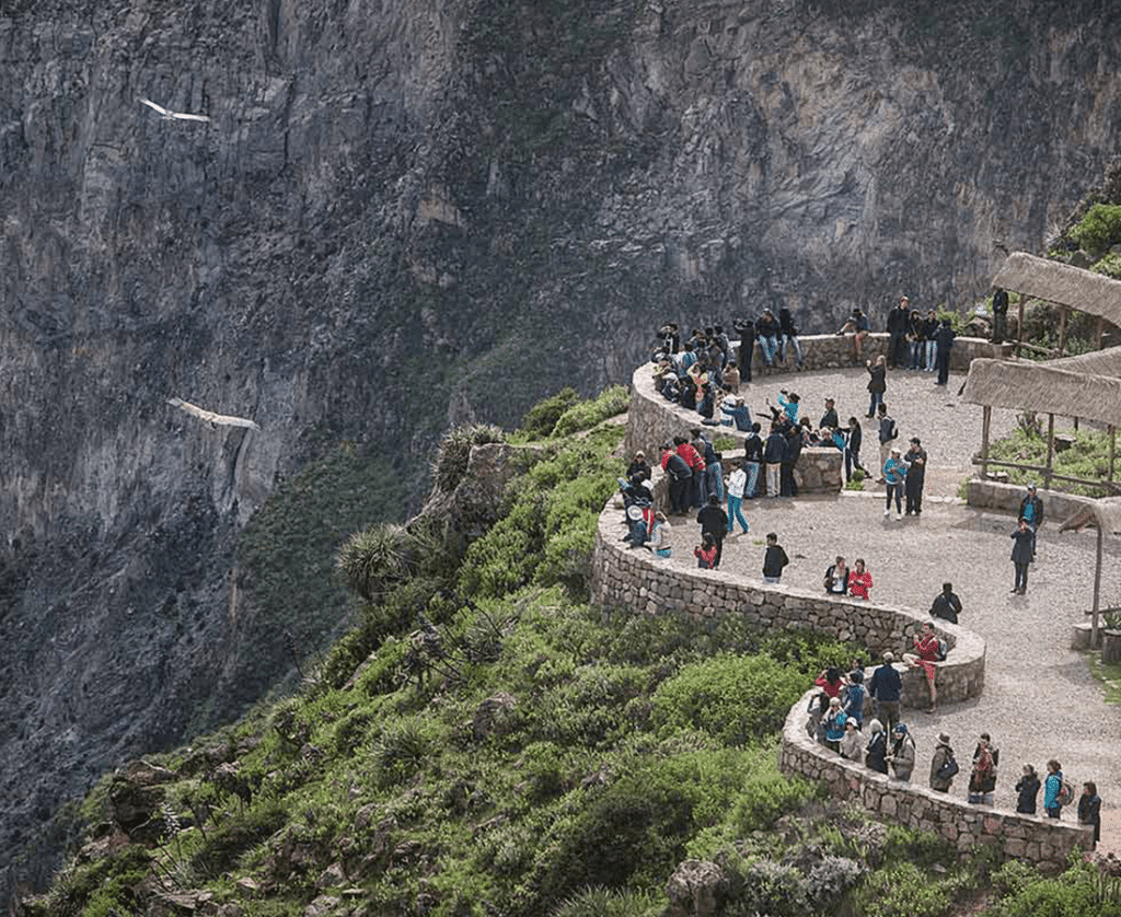 Wander from Home: Explore Ever-changing Landscapes of Greenery, Deserts ...