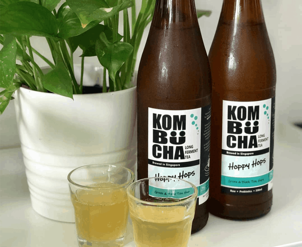 Best Kombucha in Singapore: Guilt-free Bubbles Great For Your Digestive ...