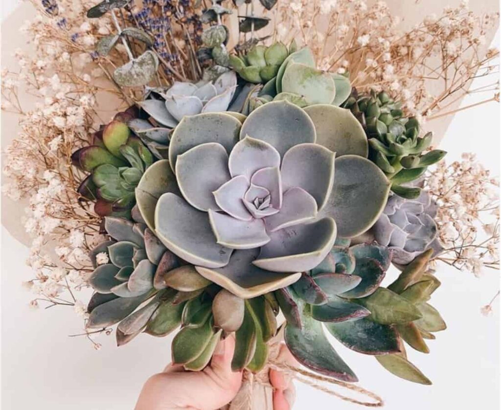 Sustainability In Singapore: Eco-Friendly Flowers to Show Your Love For ...