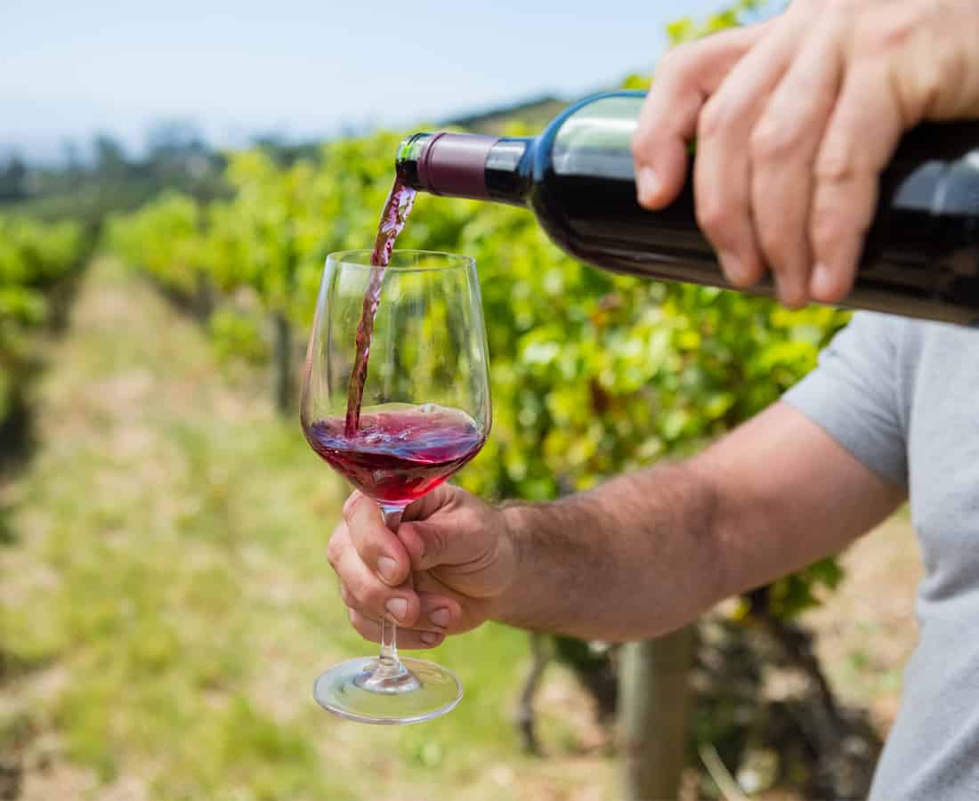 Know Your Wine: Your Ultimate Guide To Classic Reds, & How To Find The ...