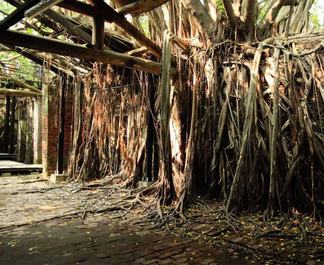 A 3D2N Itinerary to Tainan: Discover the Best Attractions and Food of ...