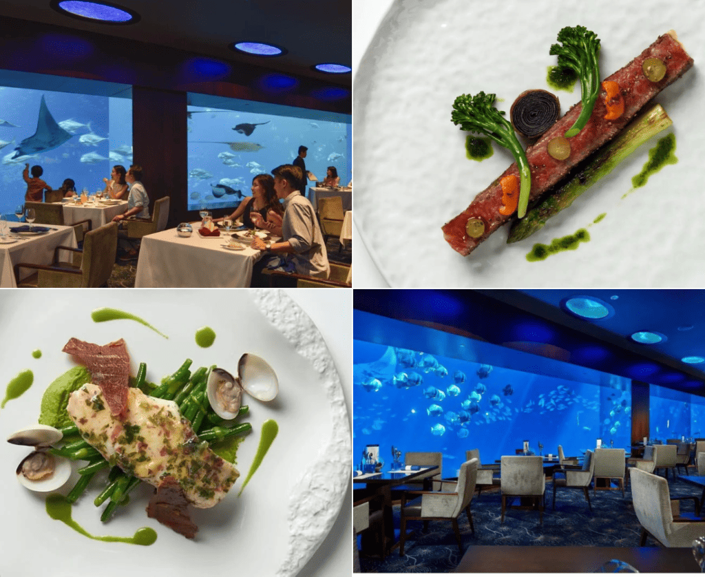 Immersive Experiential Dining in Singapore: Dinner with Mermaids ...