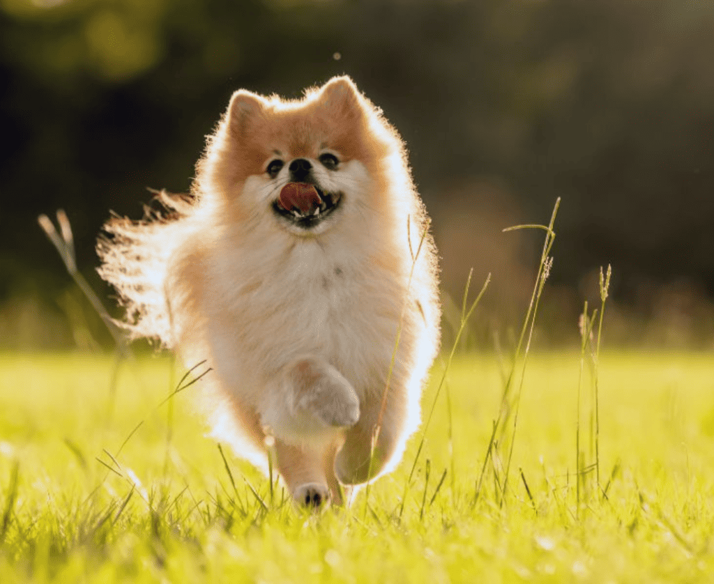 The Ultimate Guide To Palawan Beach - Food, Drinks & Activities