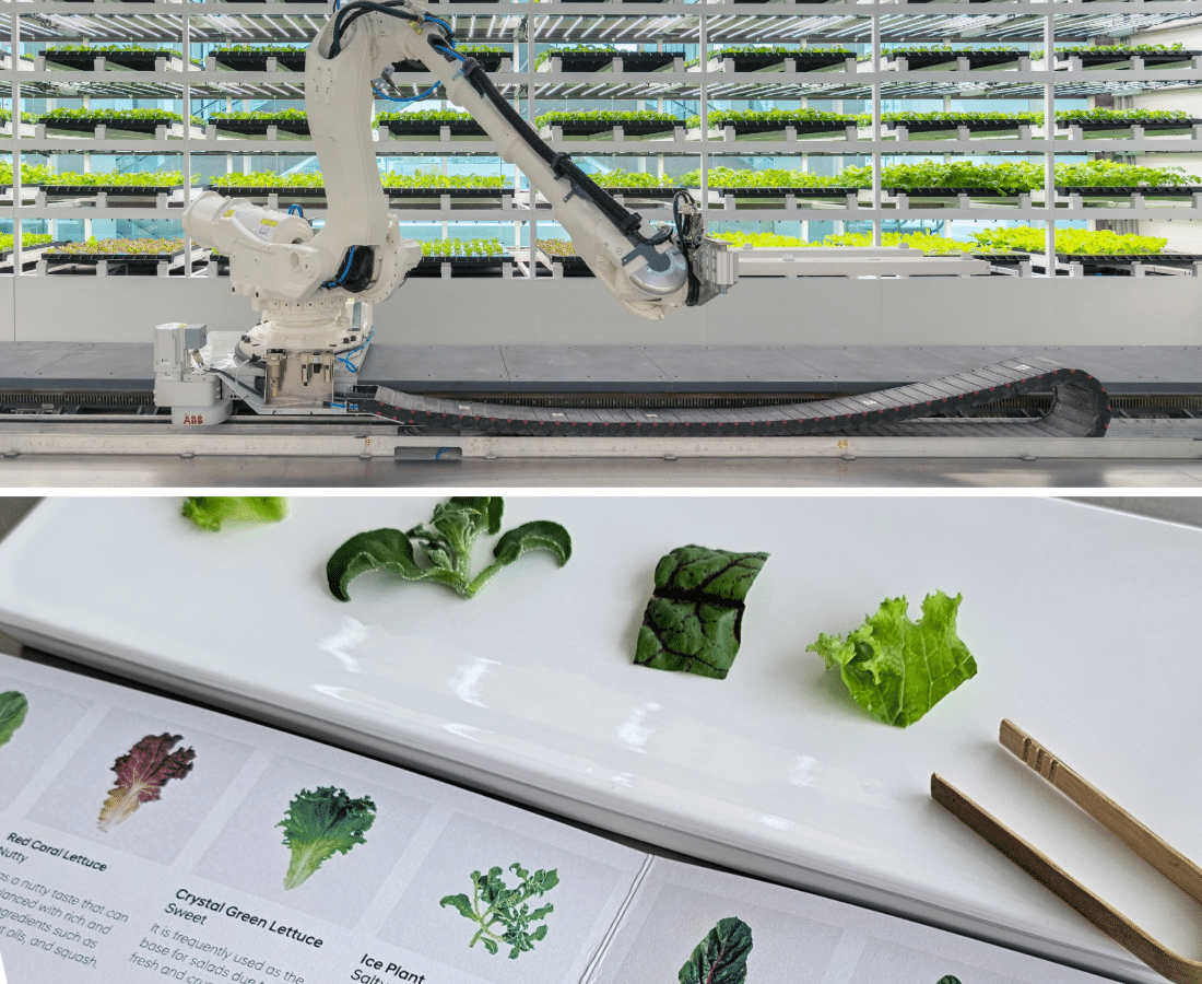 Inside Hyundai Motor Group Innovation Center Singapore (HMGICS) and Na ...